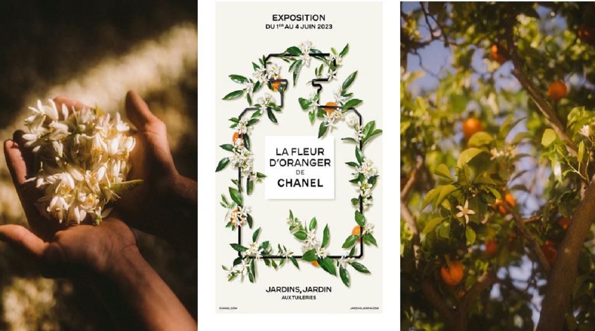 Un hommage à la fleur d’oranger de Chanel | Trendymagazine